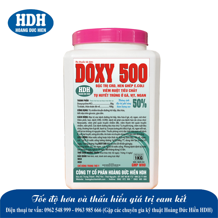 DOXY 500 - 50% - Công ty cổ phần HDH